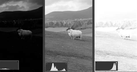 How Histogram In Photography Affect The Photo Shooting