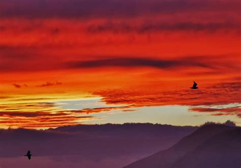 Peechie247 Photography