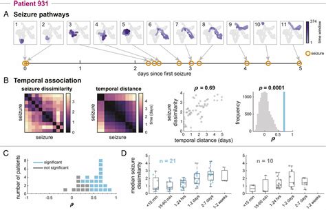 Epilepsy Research Variability In Seizure Pathways