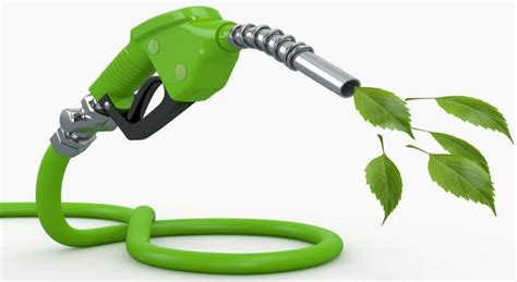 Cassava As Feedstock For Bioethanol Production