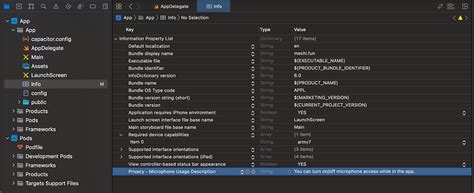How To Enable Microphone Camera Access On Capacitor Ios K Medium