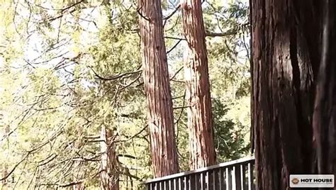 Derek Bolt Gay Porn Videos 2024 Porn Star Sex Scenes Xhamster