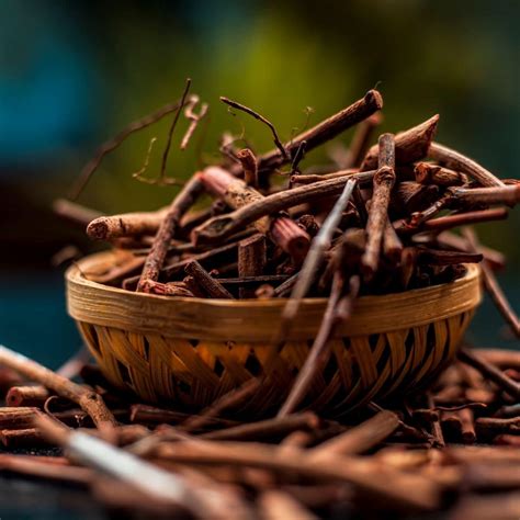 What Is Madder Root Lore And How To Use It As A Natural Dye