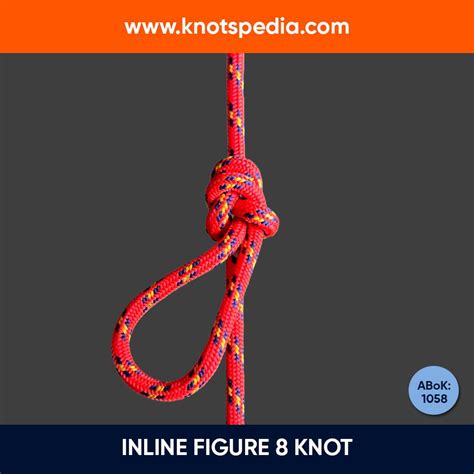 How To Tie Inline Figure 8 Knot Directional Figure 8 Knot