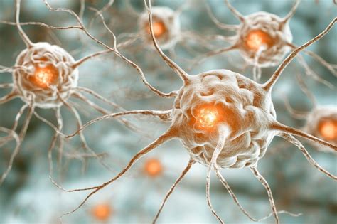 Abstract Close Up Of Neural Cells Representing Cognitive Processes Neural Connectivity And The