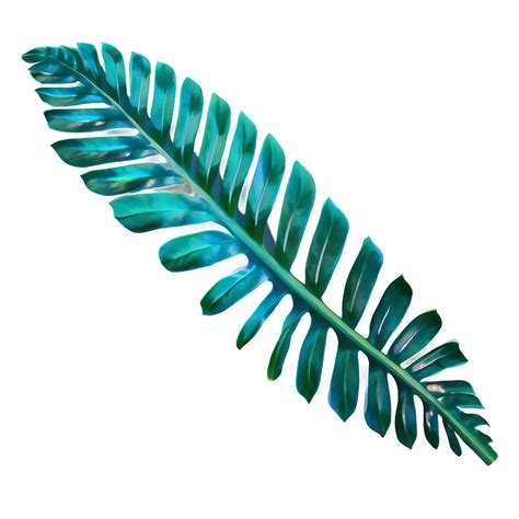 Download Tropical Leaf Png 05032024