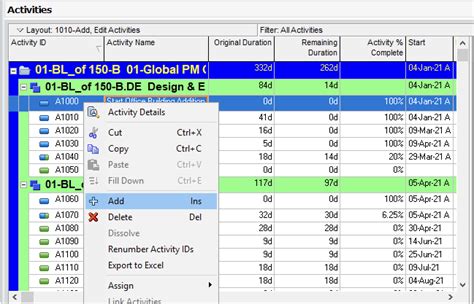 How To Add Activities In Primavera P6 Step By Step Guide