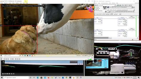 Object Detection Unit Based On Nvidia Products Detailed Demonstration Video Jetson Projects