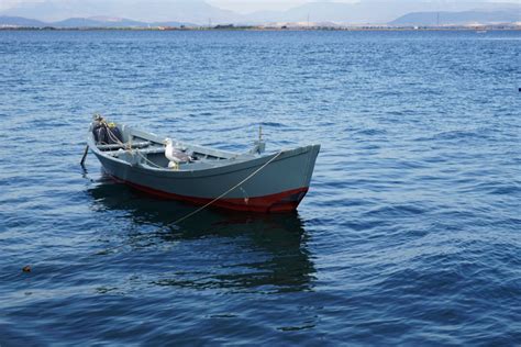 Безплатна снимка : море, крайбрежие, вода, акостиране, чайка ...