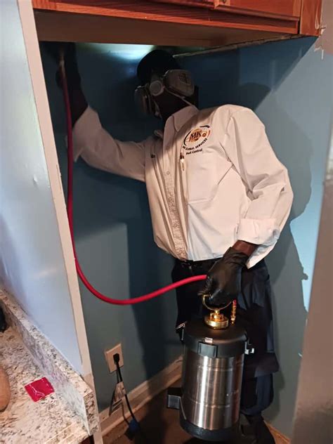 Home Mk Global Pest Controls