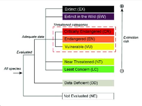 Structure Of The Iucn Red List Categories Version 31 Credit Iucn