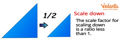 Scaling In Math Definitions Types And Real Life Examples