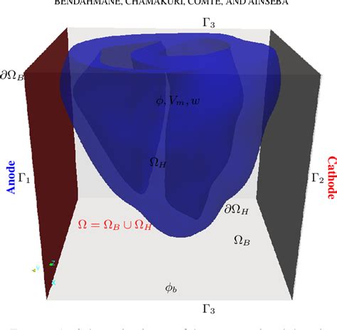 figure 1 from a 3d boundary optimal control for the bidomain bath
