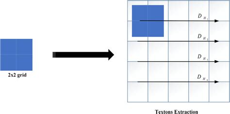 Formation Of Textons Using 2 × 2 Grid Download Scientific Diagram