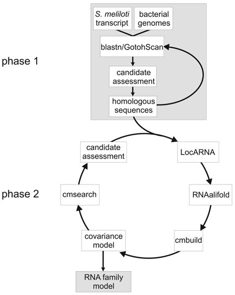 Workflow Of Covariance Model Construction Download Scientific Diagram