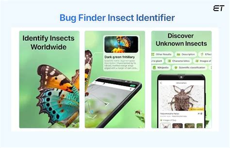 10 Best Bug Identifier Apps In 2025 Top Bug Identification Tools