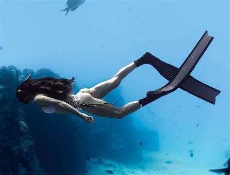 Underwater Photography Capturing The Beauty Below Dalgıç Denizaltı