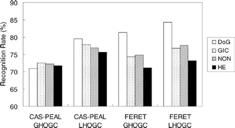 Recognition Rates Resulting From Different Illumination Normalisation