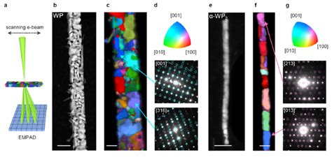 4d Stem And Grain Orientation Mapping Of Wp And α Wp 2 A Schematic