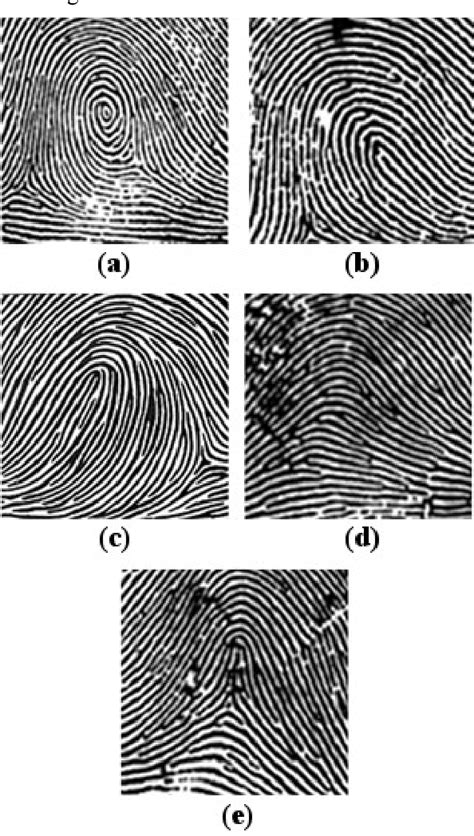 Figure 1 From Fingerprint Classification Using Convolutional Neural