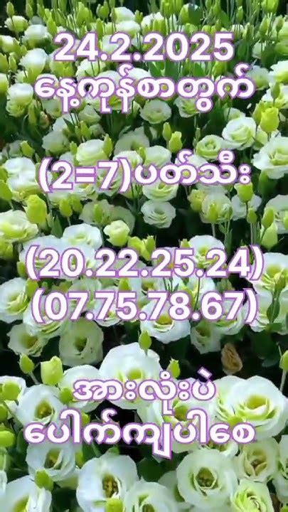 24 2 2025 တနလ်ာနေ့အတွက် 2dlive Popular Automobile Shorts Yamaha 2dshow 2dတွက်နည်း Youtube