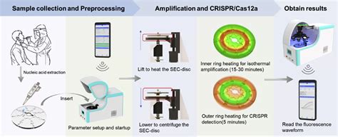 New Crispr Based Analysis System Enhances Rapid Pathogen Detection Prevention Is Better Than Cure