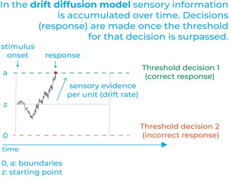 Zebrafish Larvae As A Model To Decision Making Processes A Case Study