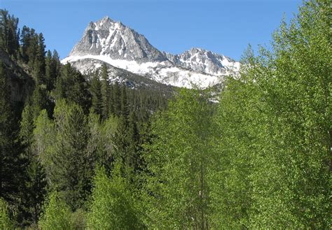 Inyo National Forest 2009 Flickr