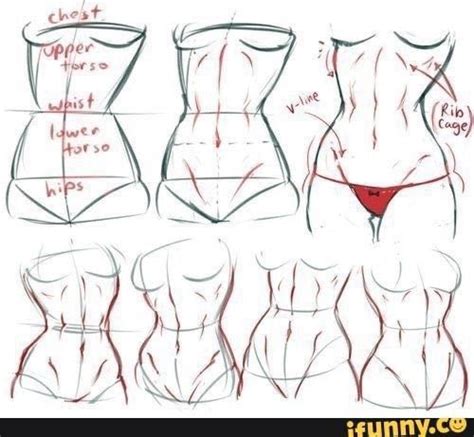 Drawing Female Body Tips And Techniques For Ood Proportions Art Reference Drawing Tips