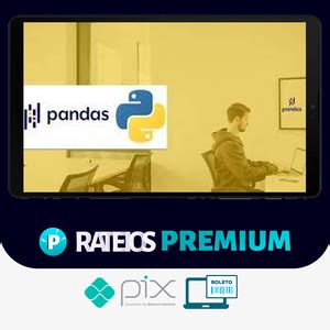 The Ultimate Pandas Bootcamp Advanced Python Data Analysis Andy Bek Inglês