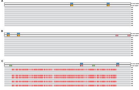 Figure 1 From Sequencing By Hybridization Of Long Targets Semantic