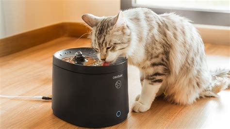 pumba 2500 refresh smart fuente de agua para gatos y perros cecotec
