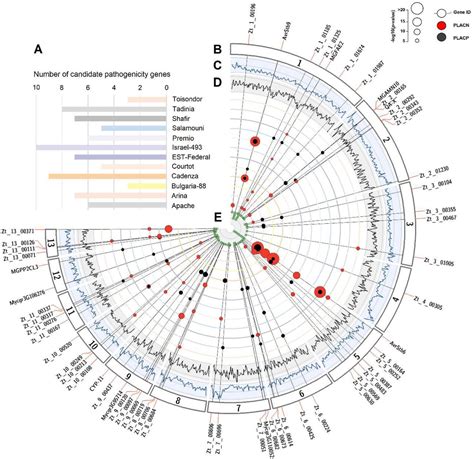 Publications Evolutionary Genomics Of Pathogens