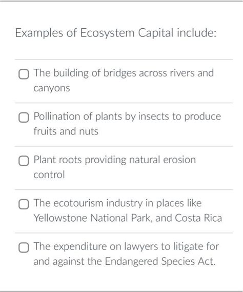 Solved Examples Of Ecosystem Capital Include The Building