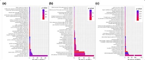 Go Annotation In Biological Process A Cellular Component B And Download Scientific Diagram