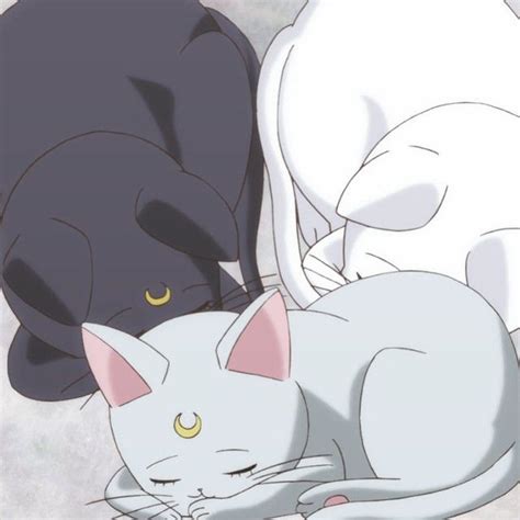 Lunaartemis And Diana Sailor Moon