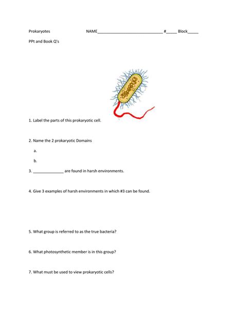 Prokaryote Worksheet Phillips Scientific Methods