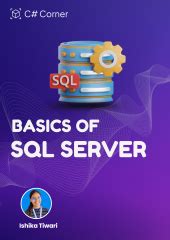 Numeric Data Types In Microsoft SQL Server