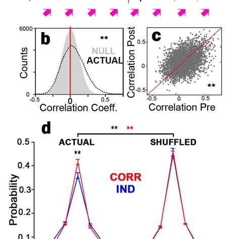 Tectal Noise Correlations Influence Network Decoding A Recorded