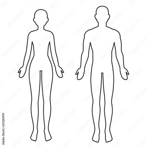 Male And Female Body Outline Stock Vector Adobe Stock