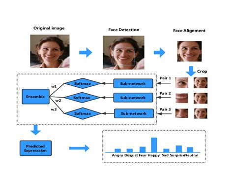An Overview Of Our Approach Multi Region Ensemble Cnn Mre Cnn