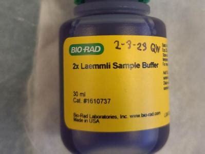 Laemmli Sample Buffer Works Well For Immediate Western Blotting Biocompare Com Kit Reagent Review