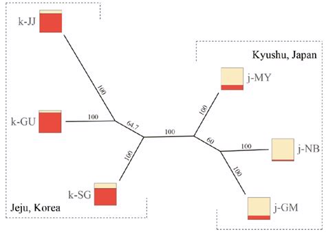 neighbor joining n j tree based on fst genetic distance among