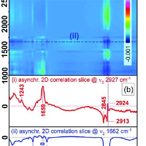 synchronous and asynchronous 2d atr ftir correlation spectra