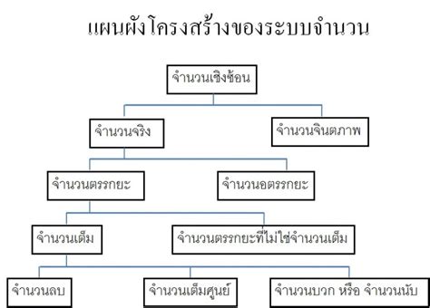 วิวัฒนาการของจำนวนและตัวเลข Tuemaster เรียนออนไลน์ มปลาย