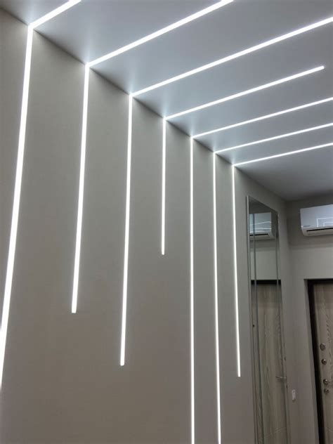 Turtledove Emptyroomcontest Artofit