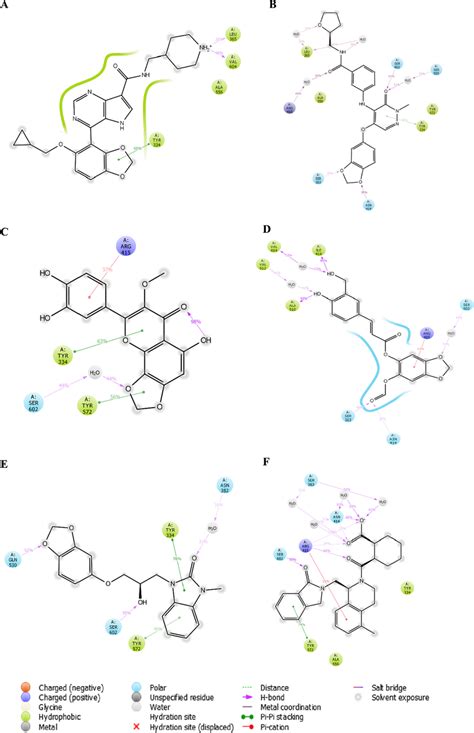 Interaction Diagram Ofa Complex B Complex C Complex D Download Scientific Diagram