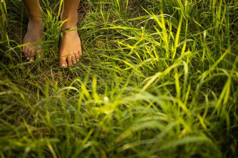 Naturyzm Zdj Stockowych Bezp Atne I Z Licencj Royalty Free Od Dreamstime