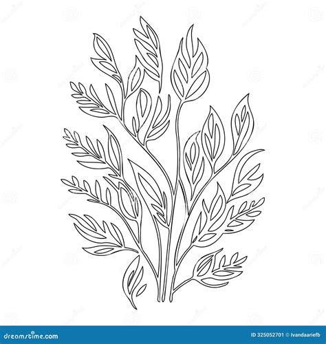 Parallel Leaf Floral Outline Illustration Sketch Stock Vector