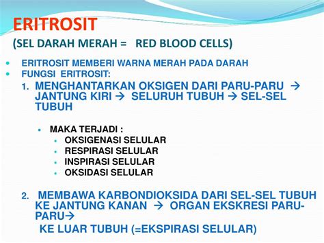 Ppt Hematologi Powerpoint Presentation Free Download Id 2953927